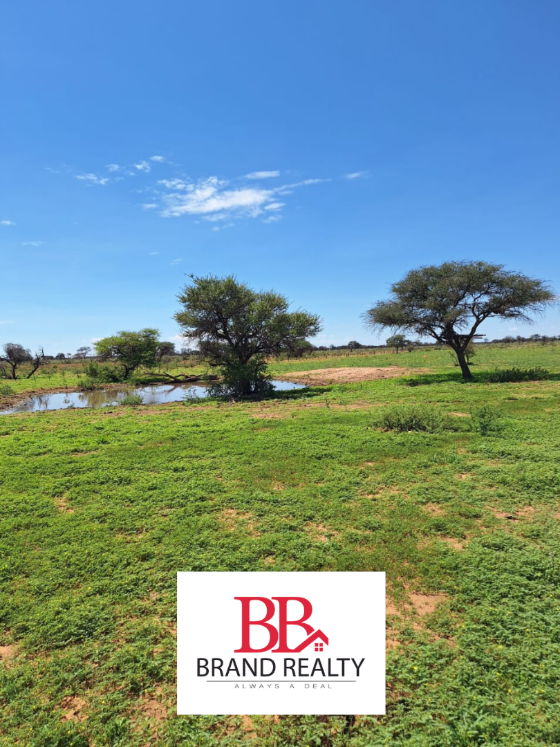 Hochfeld Central Farm for Sale: Modern Home, Game Viewing, Extensive ...