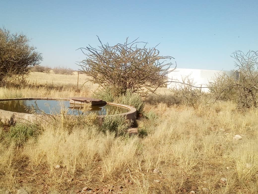 Kalkrand guide: Property, Estate Agents & News | MyProperty Namibia