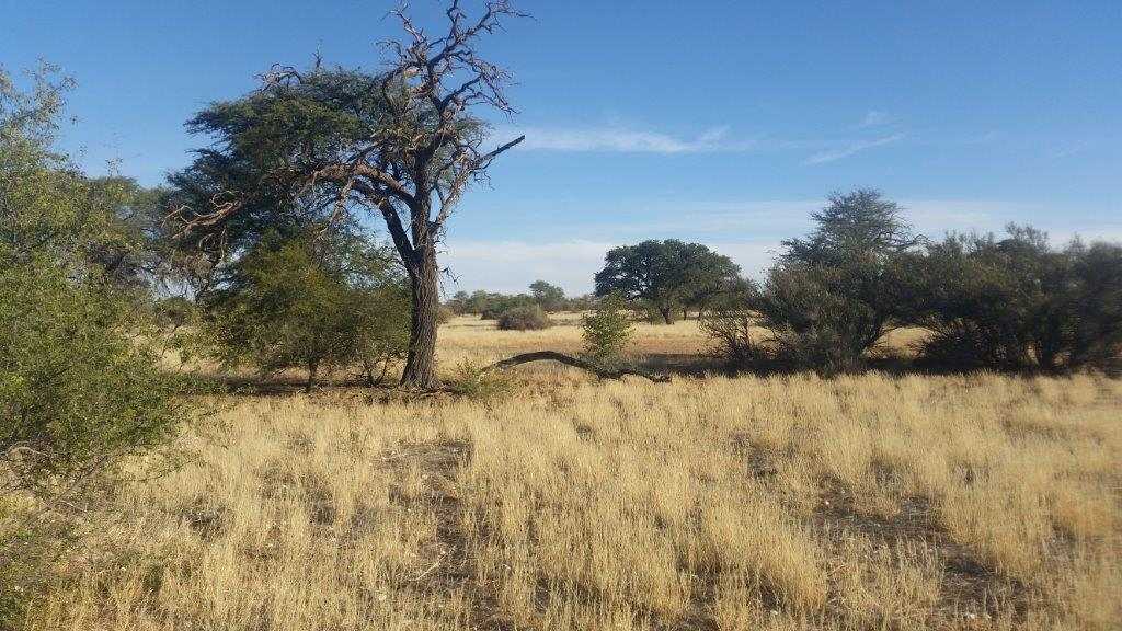 Endless Farming Opportunities in Hochfeld Central - Two Farms For Sale ...