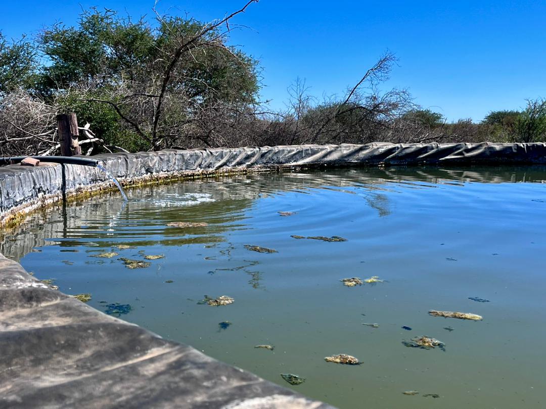 Aranos guide: Property, Estate Agents & News | MyProperty Namibia