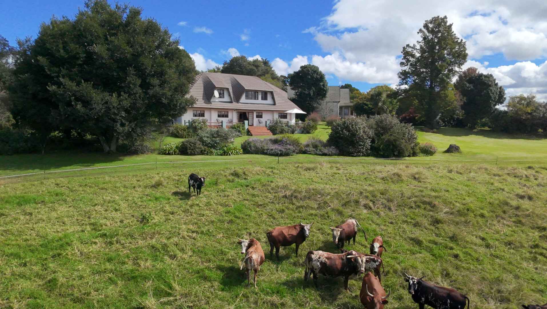 For Sale: Howick Rural Guest House with 14 bedrooms, cottages, and ...