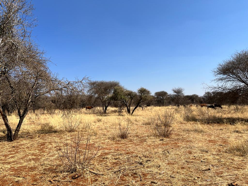 Hochfeld Property: property and houses for sale in Hochfeld ...