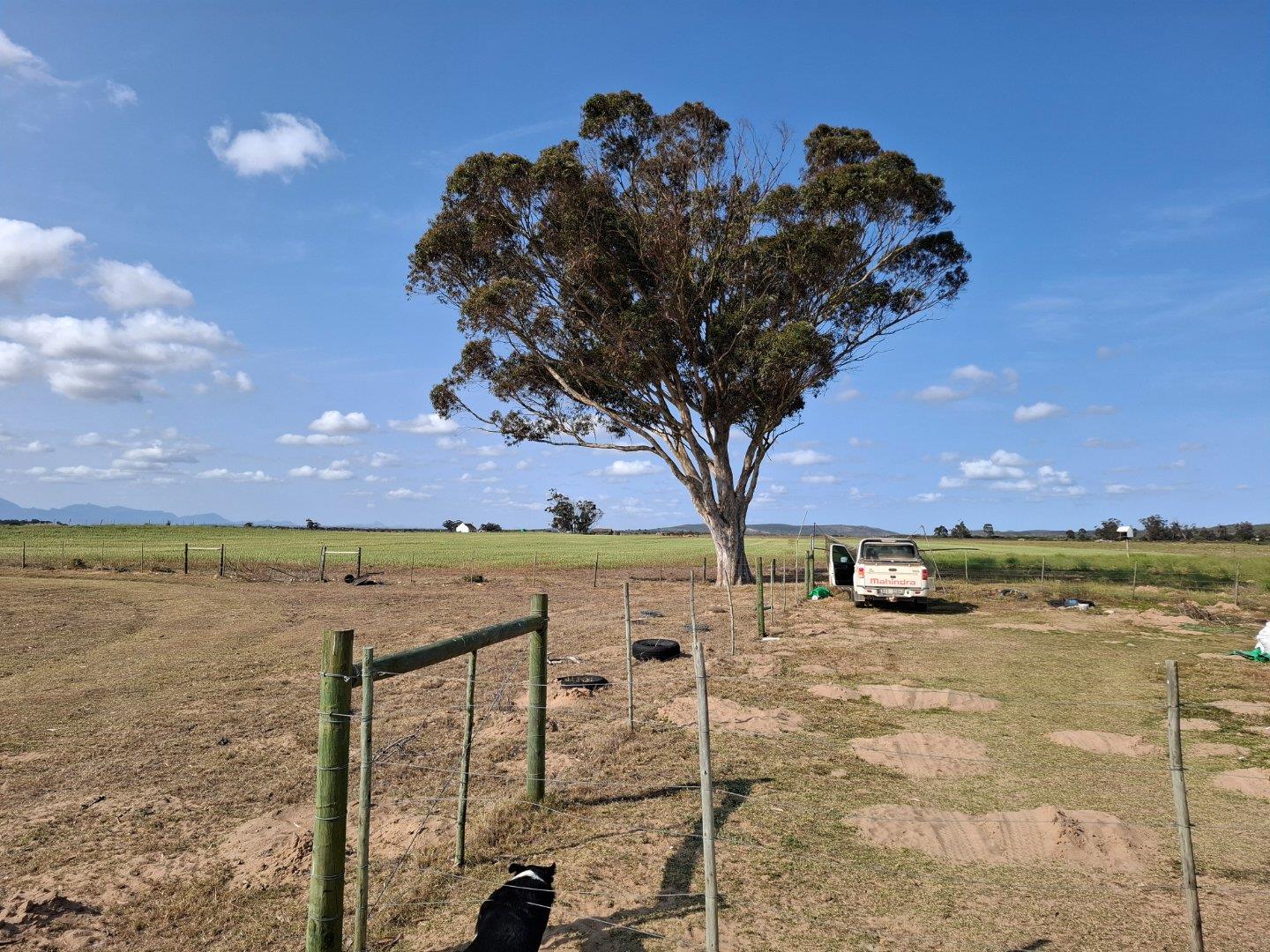 Riversdale Rural farm for sale: off-grid, arable land, water, solar ...