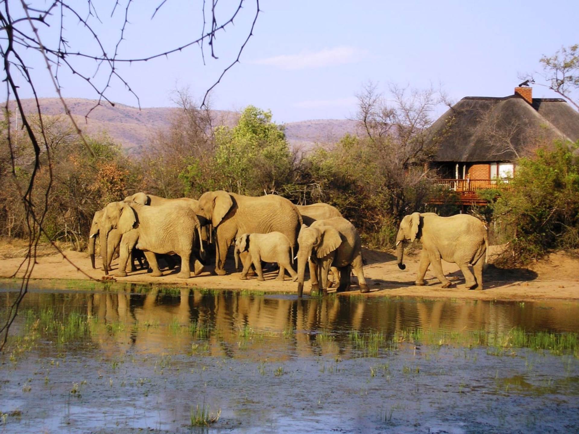 Mabalingwe Nature Reserve Property: property and houses for sale in ...