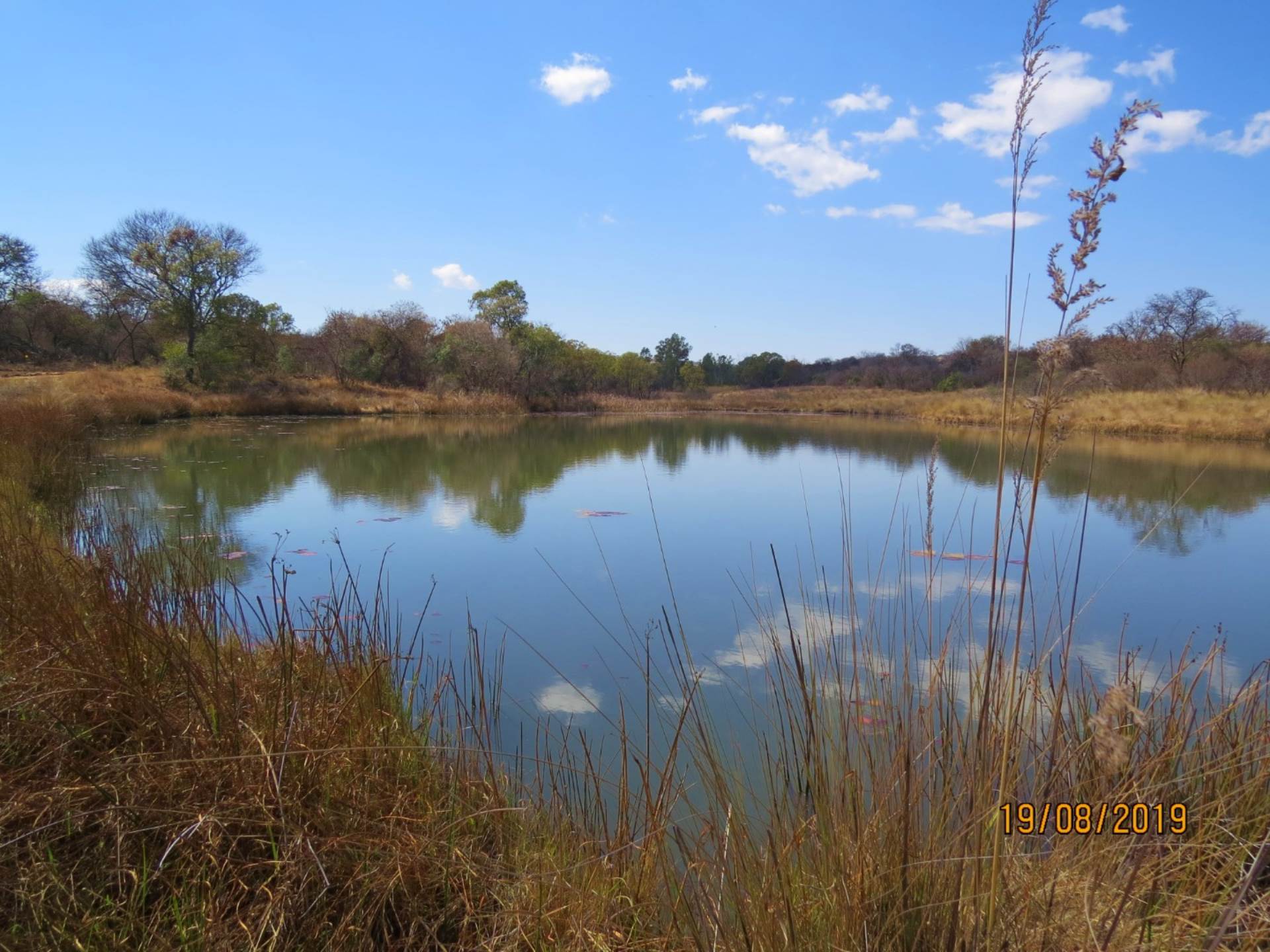 Vaalwater, Limpopo properties and houses for sale or rent | MyProperty